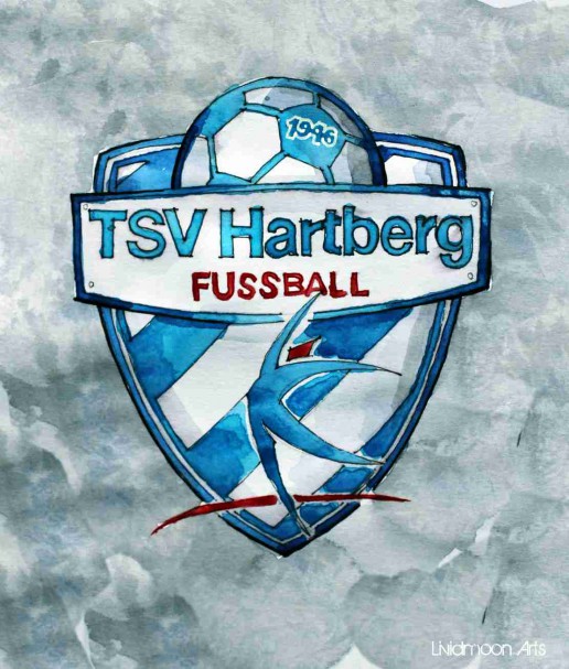 Tops, Flops, Stats: Das war die Saison des TSV Hartberg